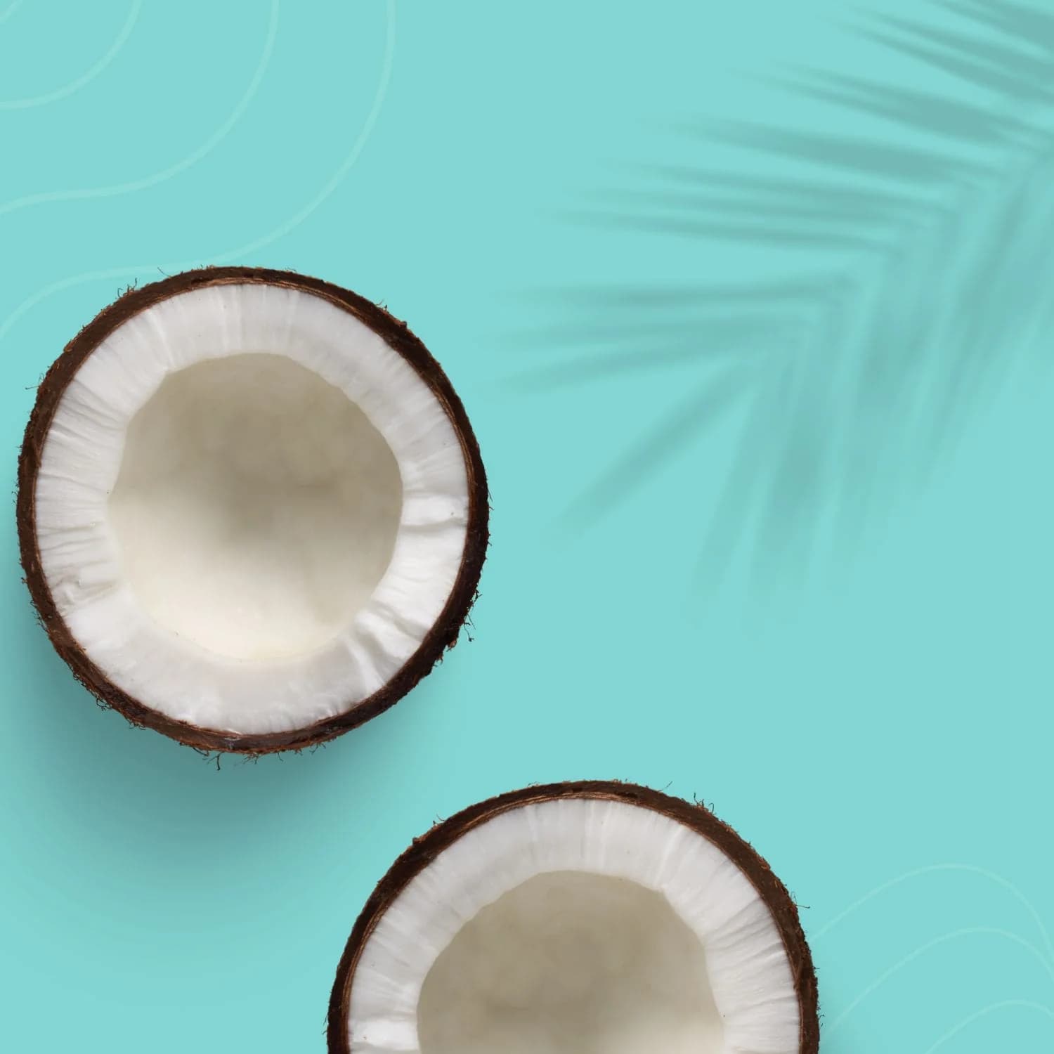 Monolaurin Supplement Benefits, Dosing, and Uses – Natural Cure Labs