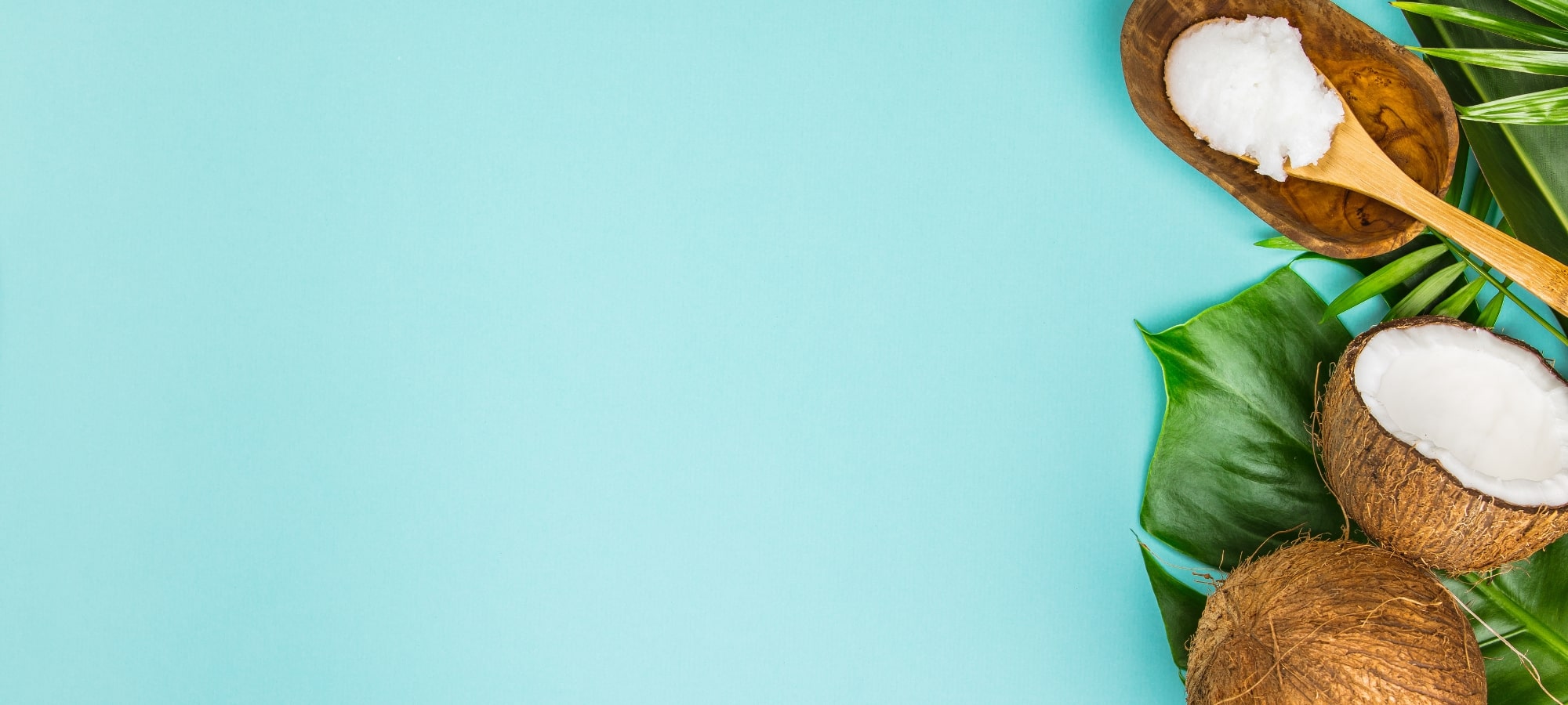 Monolaurin Supplement 600mg Capsules – Natural Cure Labs