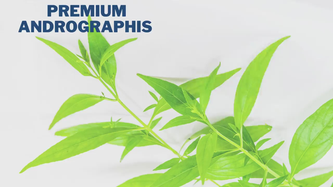 Andrographis Complex Supplement – Natural Cure Labs